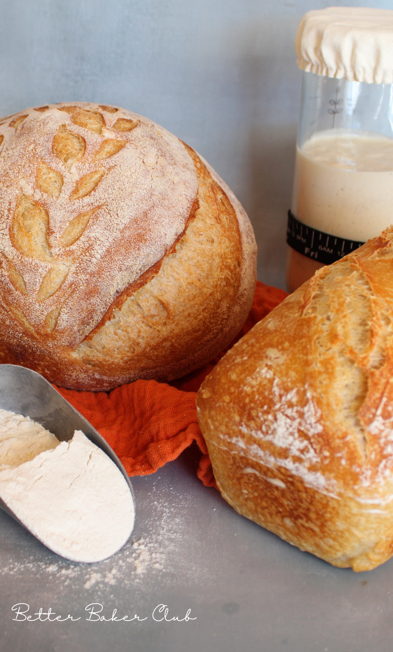 Easy Sourdough Bread Recipe Without a Dutch Oven - Better Baker Club