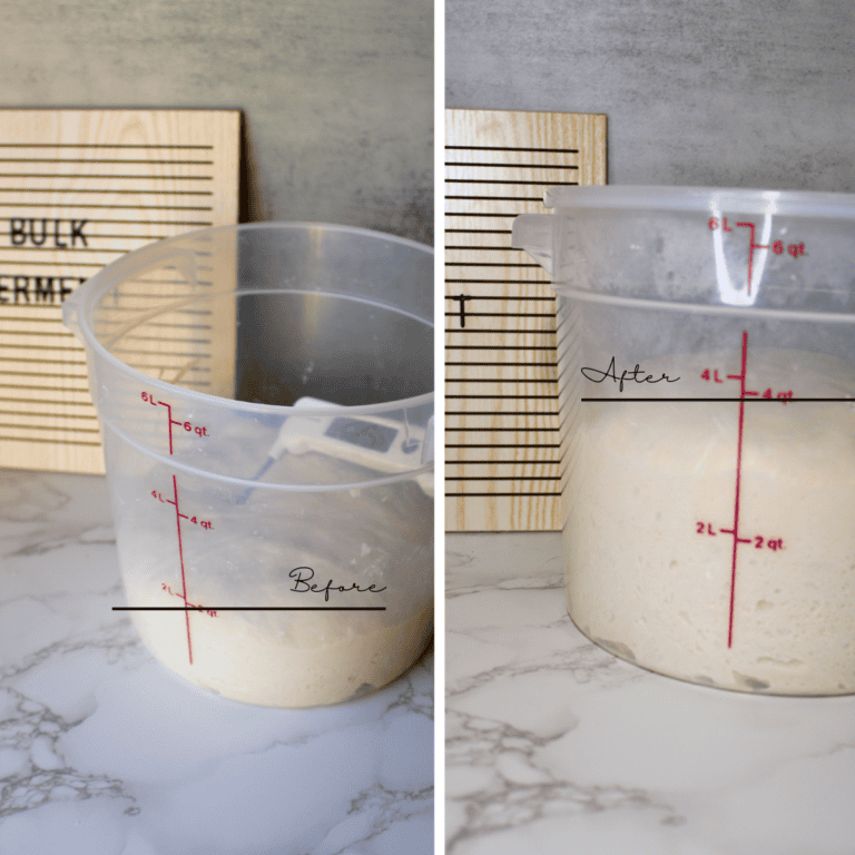 How Long to Proof Sourdough Bread Before Baking - Better Baker Club