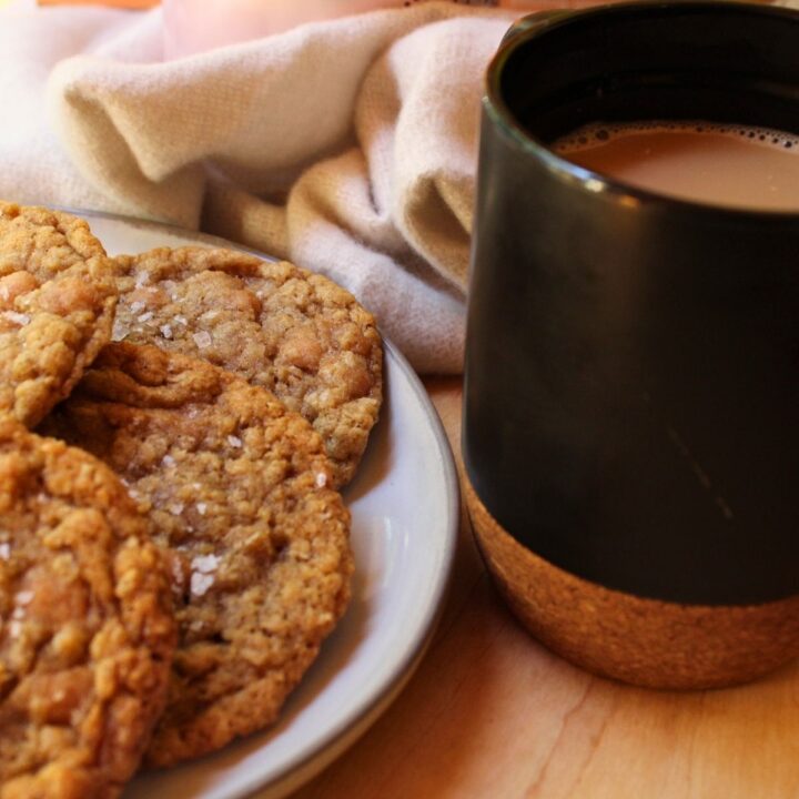 Salted Caramel Oatmeal Cookie Recipe - Better Baker Club